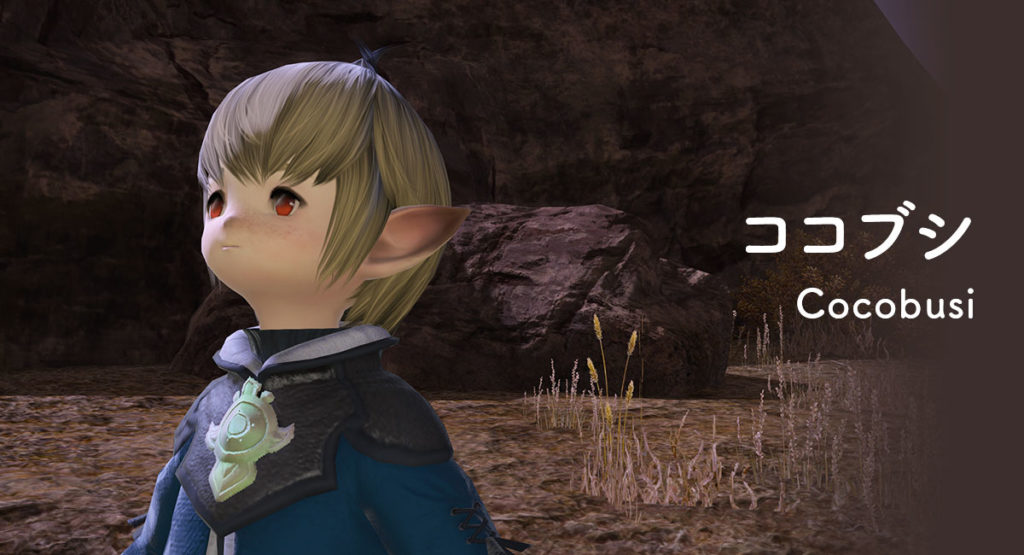 新生祭2020～新生から7年。 | FF14私的メモBlog